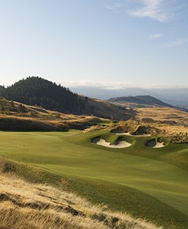 Tower Ranch Homes for Sale - Emil Anderson Properties